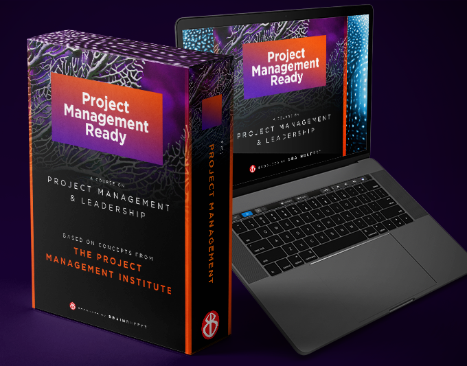 BrainBuffet PMI PMR eCourse from ThinkEDU